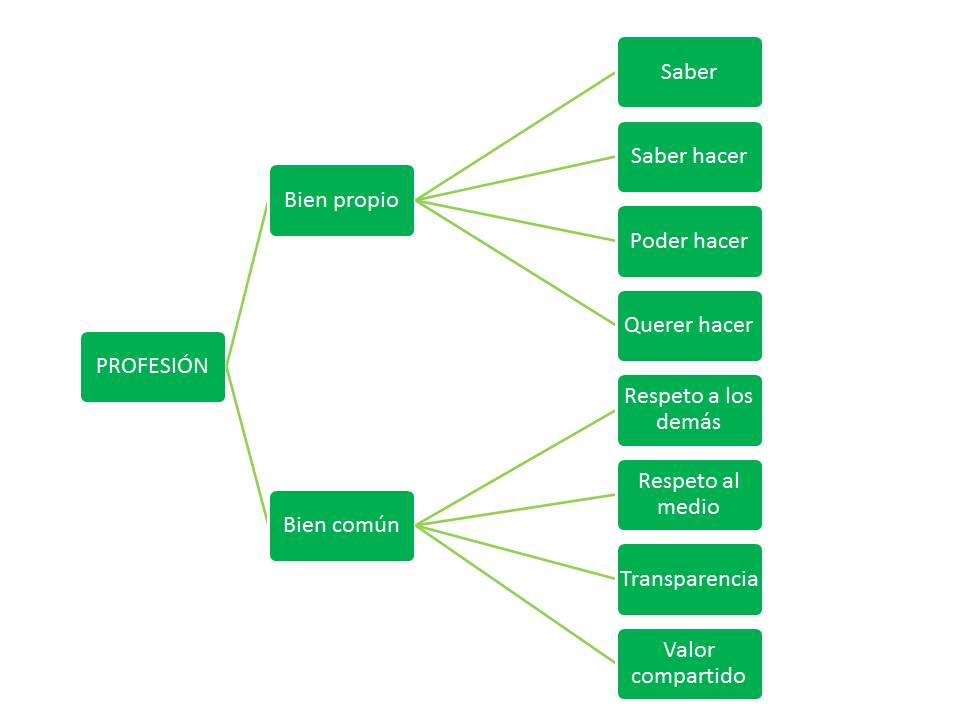 El propósito (V): la profesión